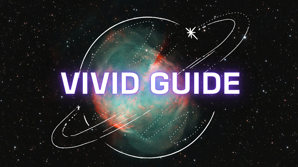 Vivid Guide