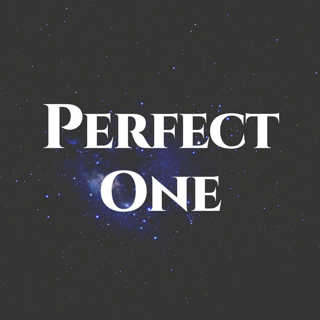 PERFECT ONE
